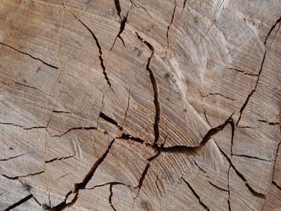 Scrap of mechanical pulp paper (HS: 470730) Product Trade, Exporters ...